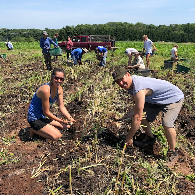 Is Farming Capitalistic, Socialistic, or Both??? – Bone-In Food